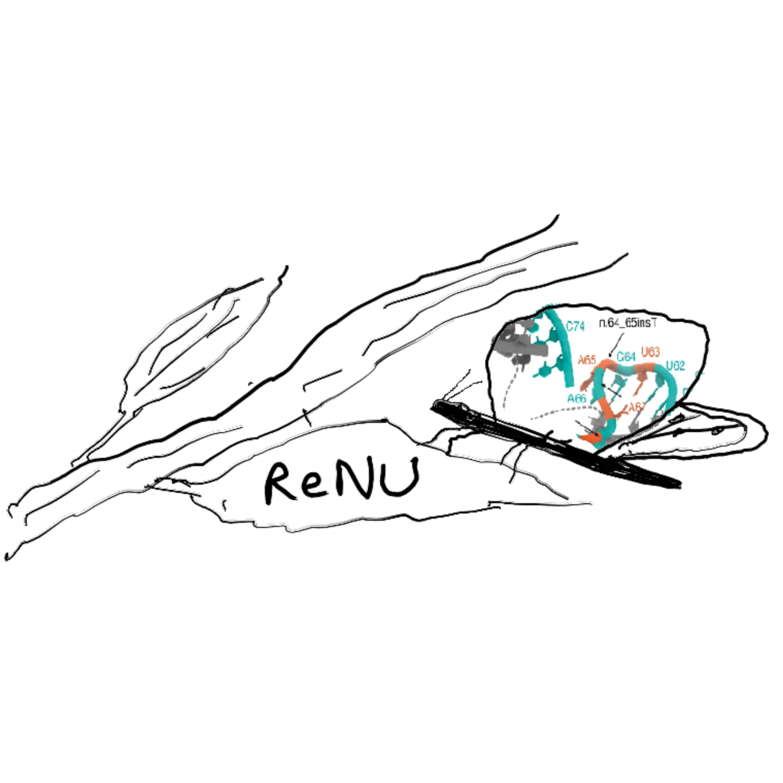 The discovery of ReNU syndrome - cpm